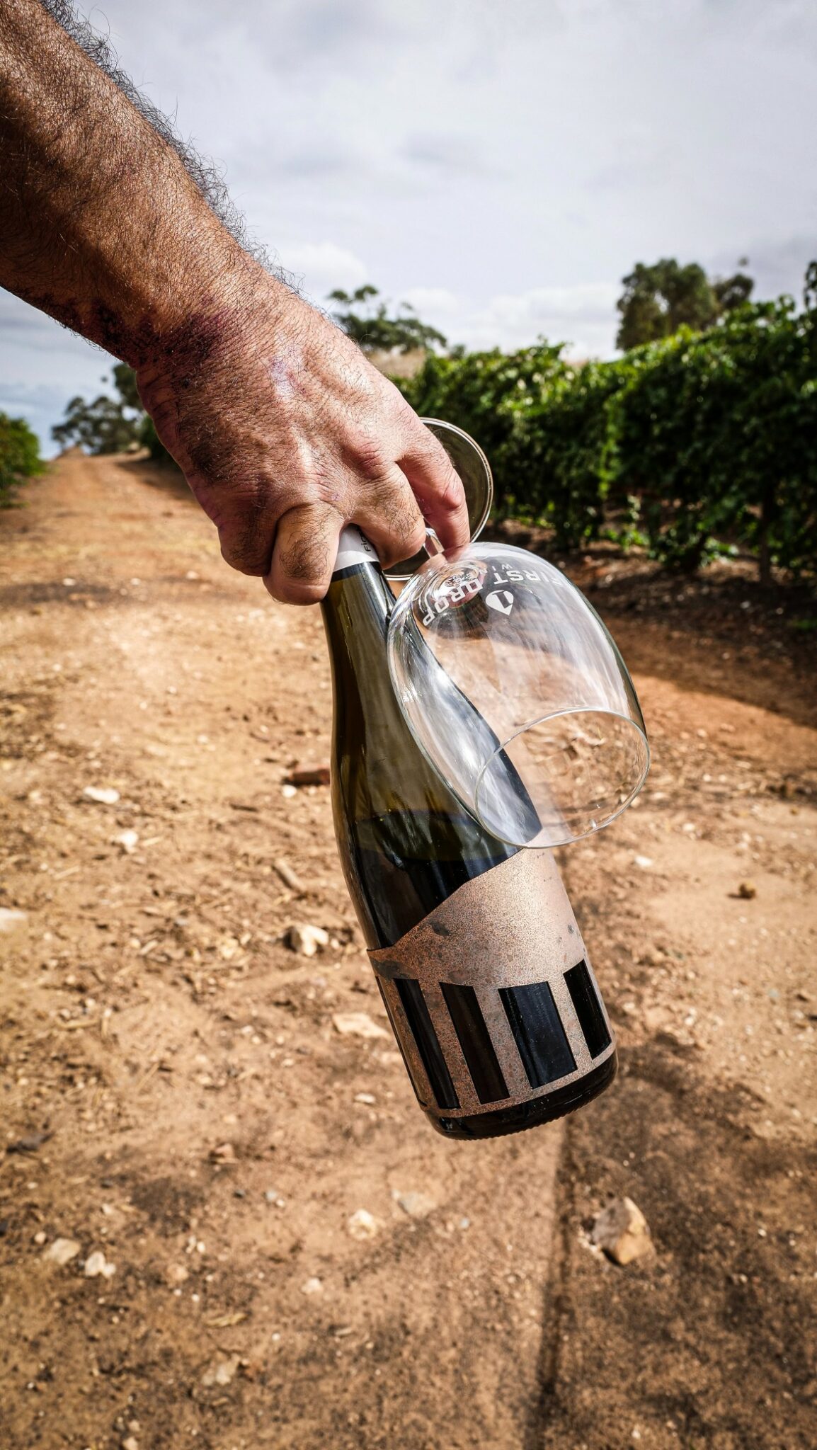 About Us – Bacchus Wine Merchant